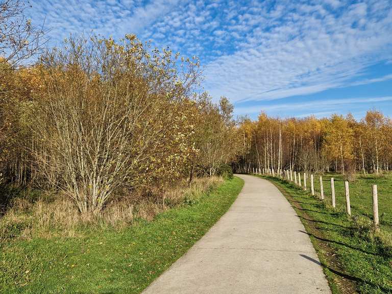 Gentbrugse Meersen, Kalkense Meersen & Berlare Broek loop from Ghent ...