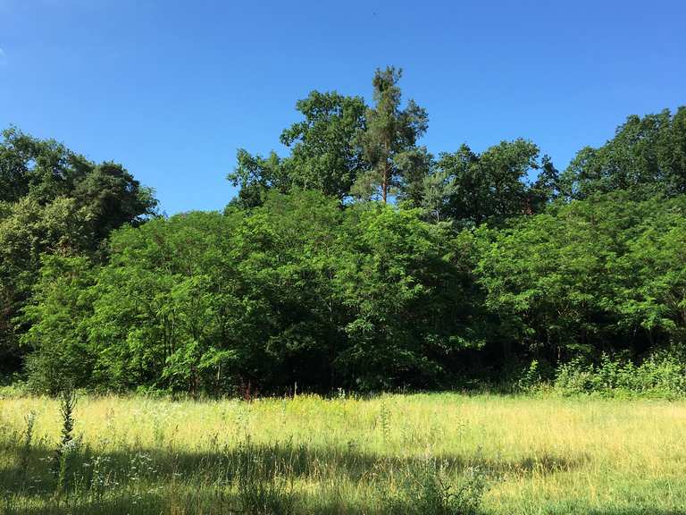 Tompkins Barracks - Cycle Routes and Map | Komoot