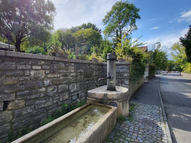 Botanical Gardens, Pregny and Chambésy — urban loop north of Geneva ...