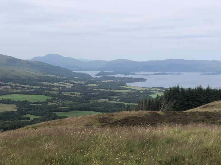 View of Loch Lomond – Hilltop View loop from Helensburgh Central | hike ...