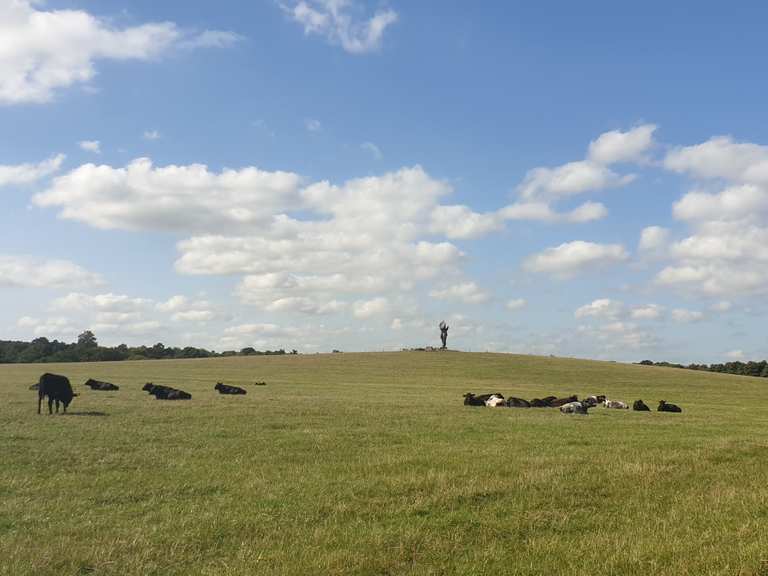 The Horse of the South: Wanderungen und Rundwege | komoot