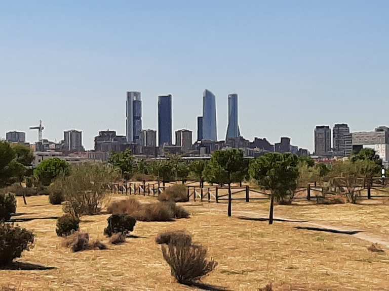 Parque Forestal de Valdebebas - Felipe VI: Rutas MTB | Komoot