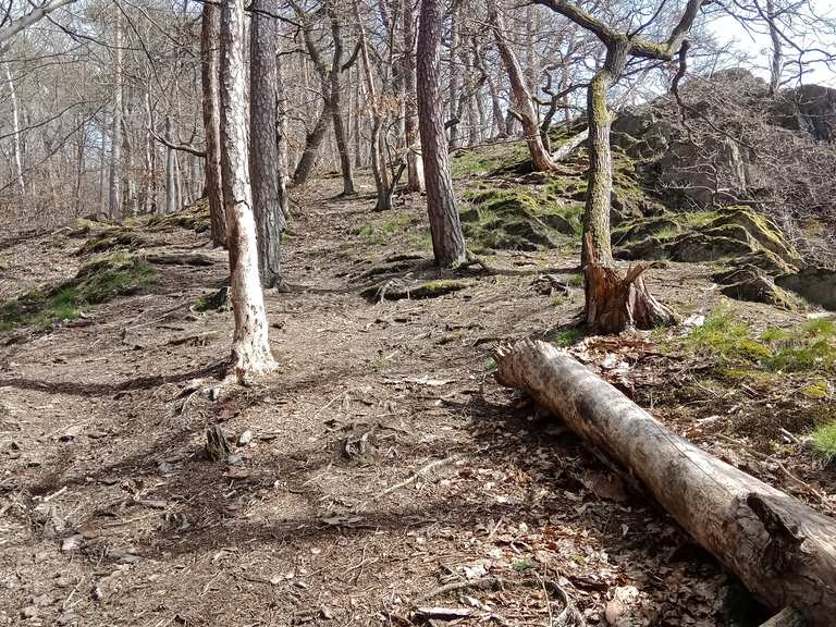 Isberg-Trail: Mountainbike-Touren | komoot