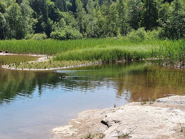 Lago Chapfensee : percorsi escursionistici e trekking | Komoot