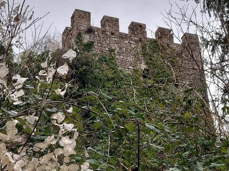 Castello di Fòsini: Mountainbike-Touren und -Trails | komoot