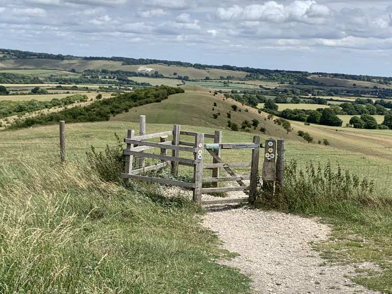 Ashridge Estate & Ivinghoe Beacon loop from Tring - Chiltern Hills AONB ...