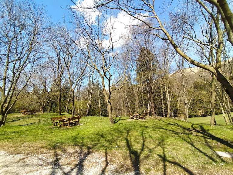 Parco Alpe del Viceré – Rifugio Capanna Mara giro ad anello con ...