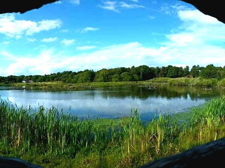 Marston Lake & Low Barns Nature Reserve loop | hike | Komoot