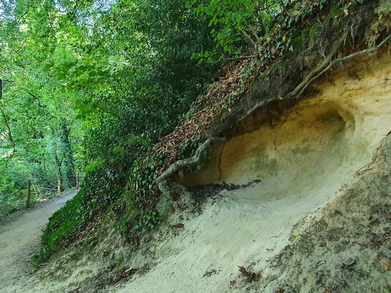 Mergelwand langs de Geul wandelroutes en hikes | Komoot