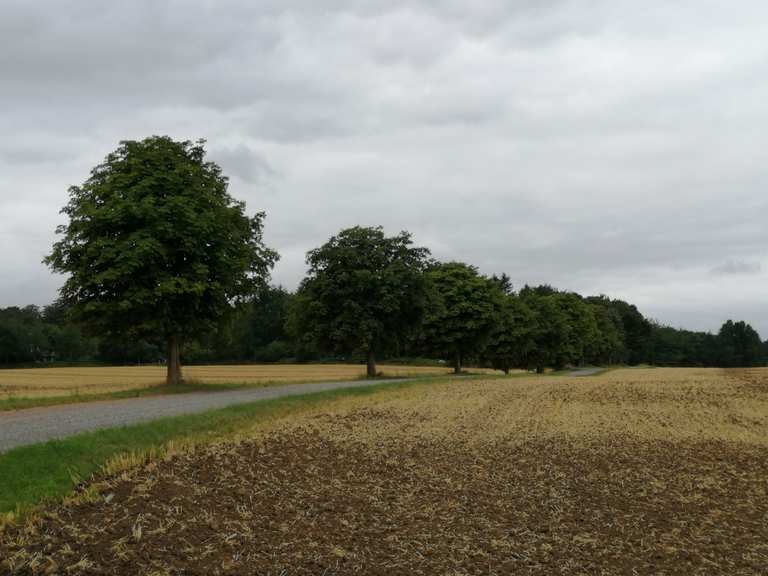 Kastanienweg bei Kulpin: Wanderungen und Rundwege | komoot