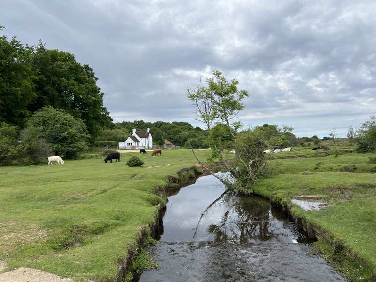 Coopers Hill & Fritham Plain loop from Fritham — New Forest National ...