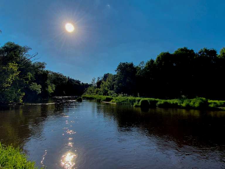Rzeka Liwiec w Borzymach: Rennradfahren und Rennradtouren | komoot