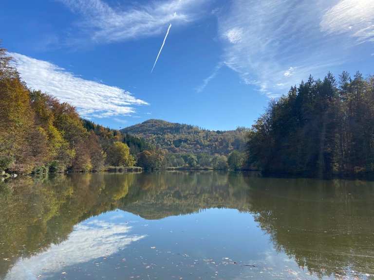 Thalersee Routes for Walking and Hiking | Komoot