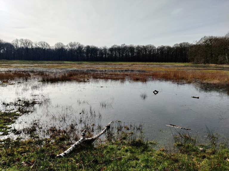 Natuurgebied Needse Achterveld wandelroutes en hikes | Komoot