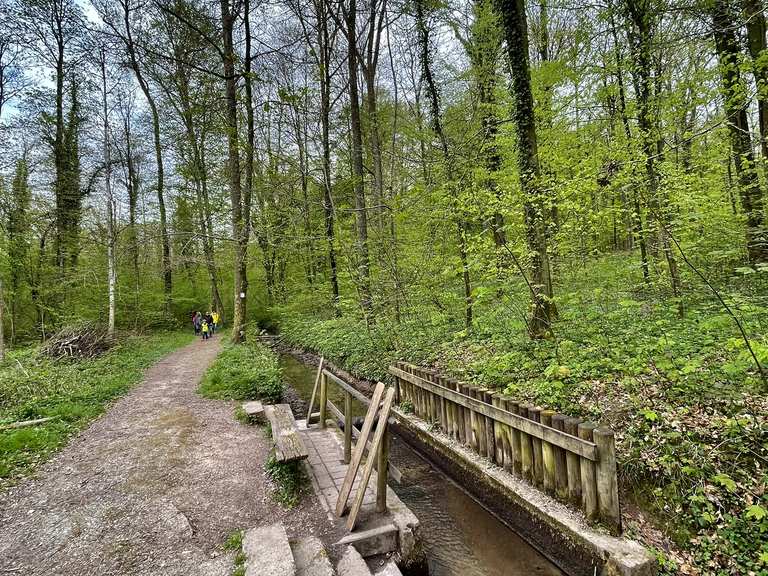 Kneippbecken Routes for Walking and Hiking | Komoot