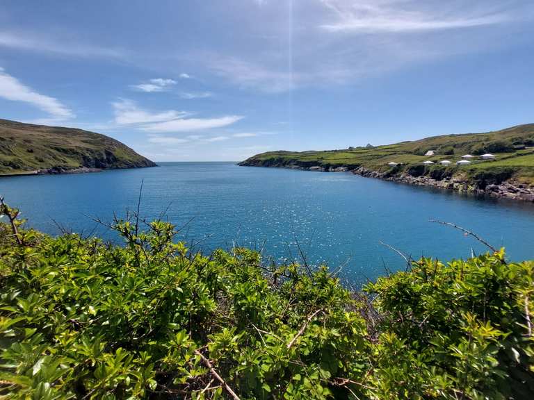 Cape Clear - Ring Loop | hike | Komoot