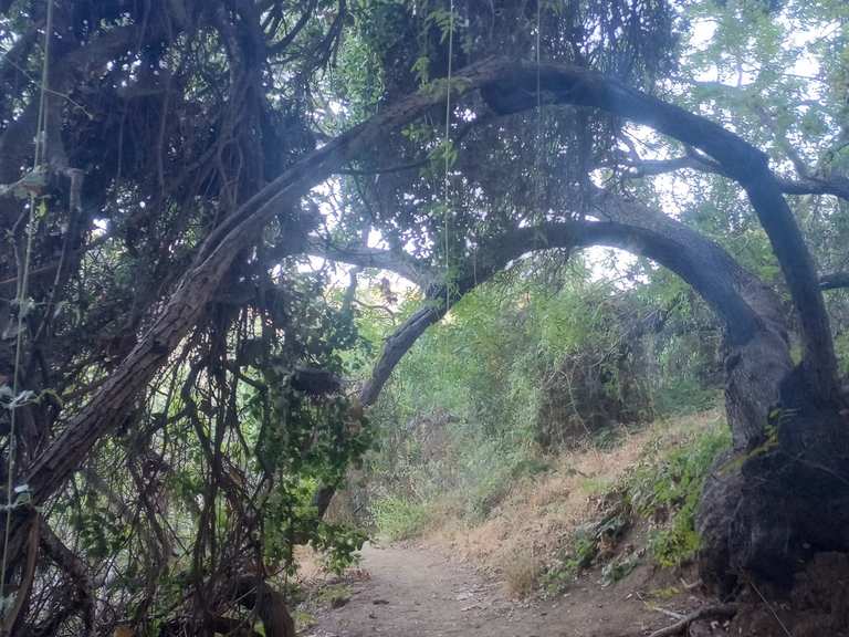 Górny zbiornik Franklin Canyon - Park Franklin Canyon | wycieczka ...