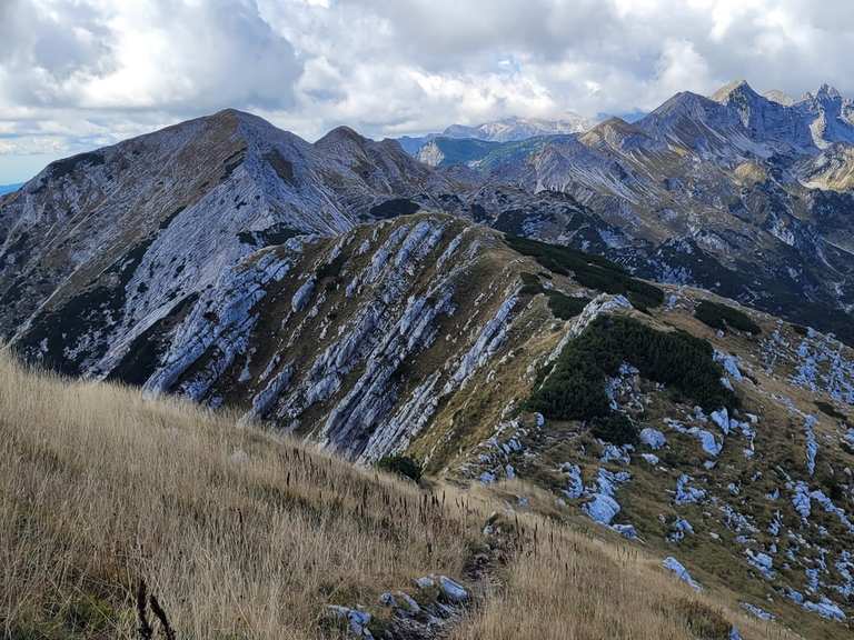 Steiler Steig: Wanderungen und Rundwege | komoot