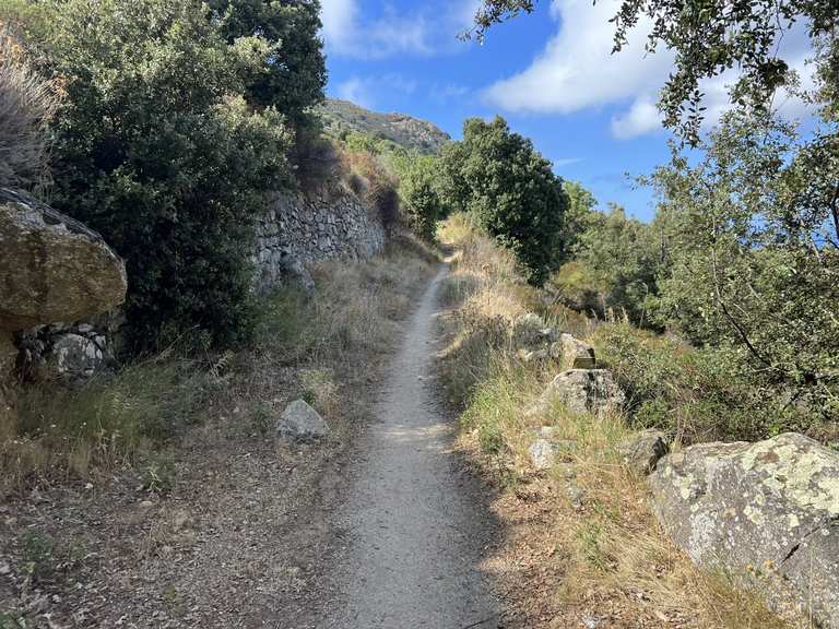 Occiglioni Santa-Reparata-di-Balagna - Santa-Reparata-Di-Balagna, Calvi ...