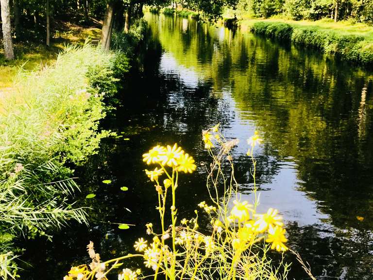 Langs het Eindhovens Kanaal – Mooi fietspad langs het water Rondje ...