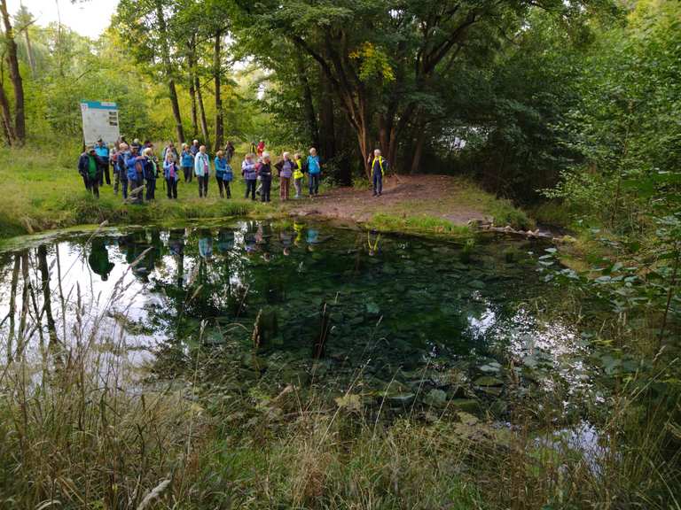 Sandor Petöfi: Wanderungen und Rundwege | komoot