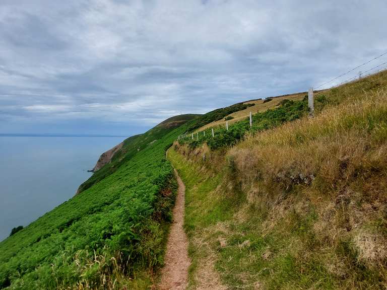 Blick auf die Lynmouth Bay vom South West Coast Path: Wanderungen und ...