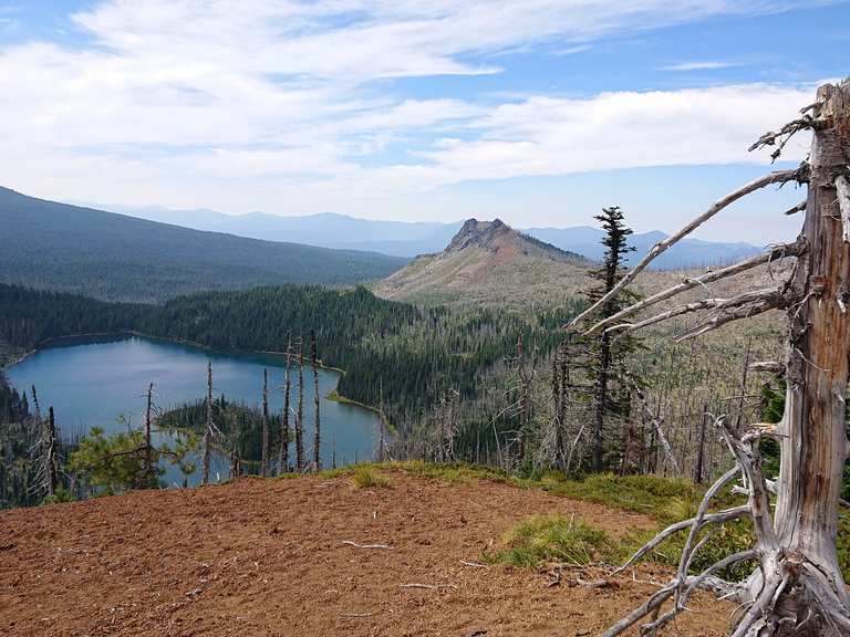 Duffy Lake Trail a Red Butte Peak – Willamette National Forest ...