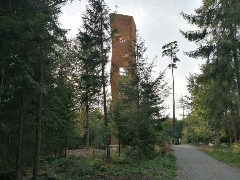 Hardwaldturm: Wanderungen und Rundwege | komoot