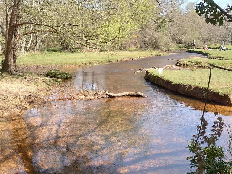Wootton Bridge & Old Railway loop — New Forest National Park | hike ...