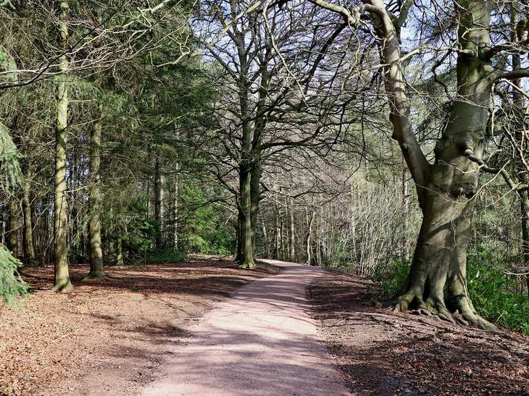 Comer Wood - Routes and Map | Komoot