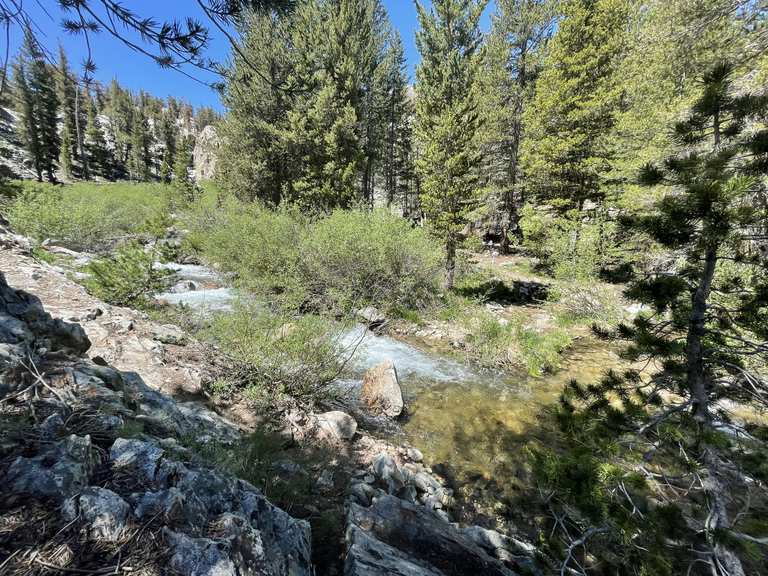 Torrente e aree campeggio : percorsi escursionistici e trekking | Komoot