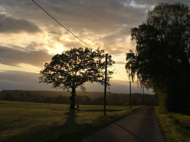 Schön zu fahrender Anstieg zw. Ersfeld und Fiersbach: Radtouren und ...
