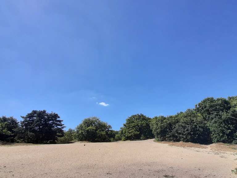 Konijnenberg Vosselaar fietsroutes en kaart | Komoot