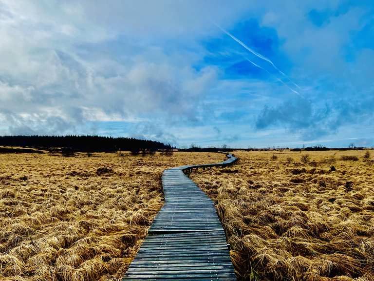 Les Hautes Fagnes — Randonnées d'un weekend en Belgique et aux Pays-Bas ...