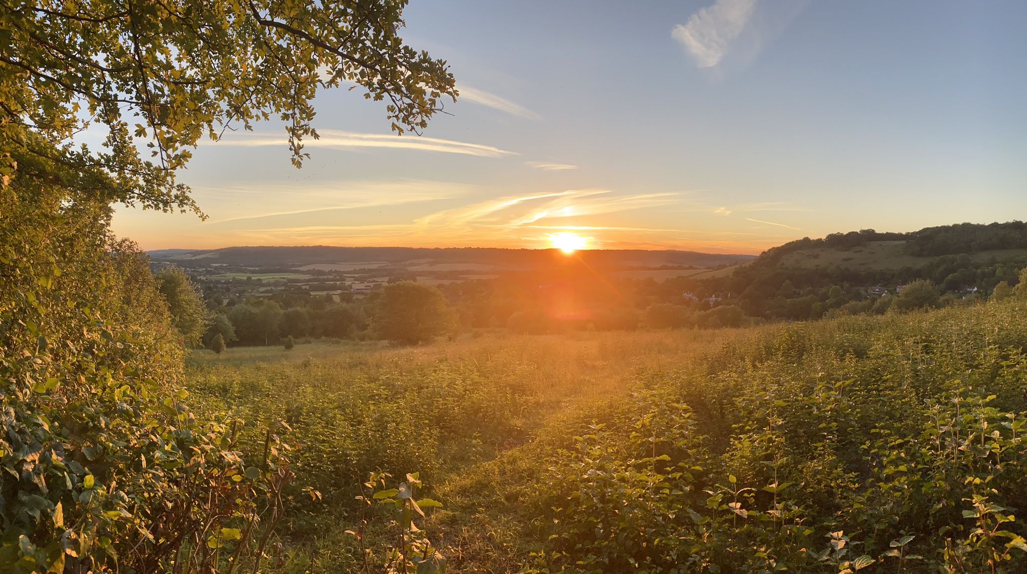 Otford loop to Round Hill & the North Downs Way — Kent Downs ANOB ...
