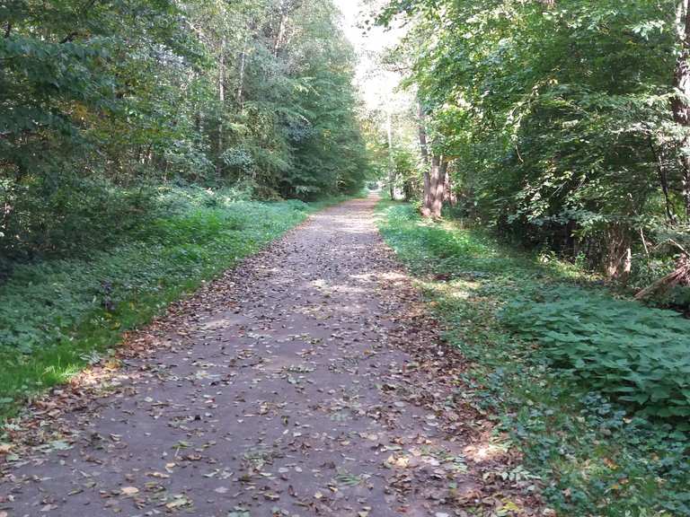 RAVeL 5 Ourthe - fietsroutes en kaart | Komoot