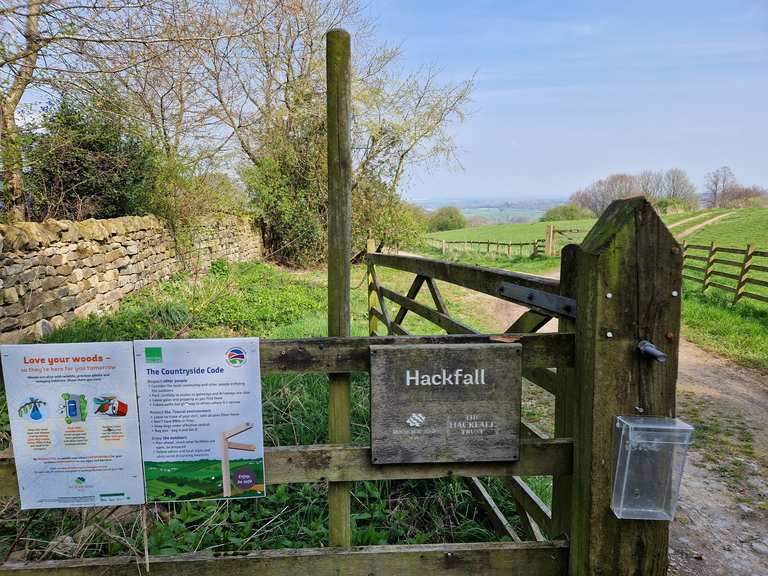 Hackfall Wood Routes for Walking and Hiking | Komoot