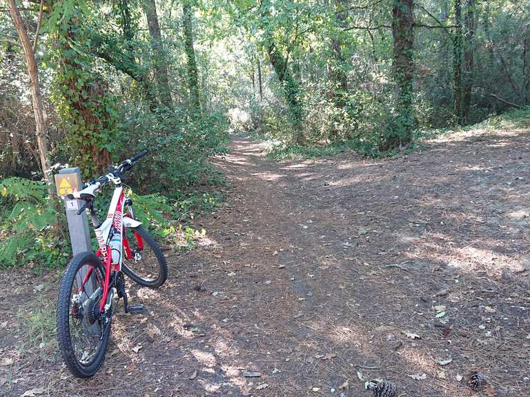 VTT 4 MTB Trail Start & Finish - Sentiers et pistes de VTT | Komoot