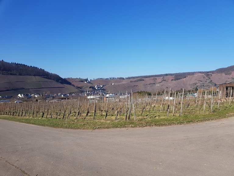 Blick auf Ürzig: Wanderungen und Rundwege | komoot