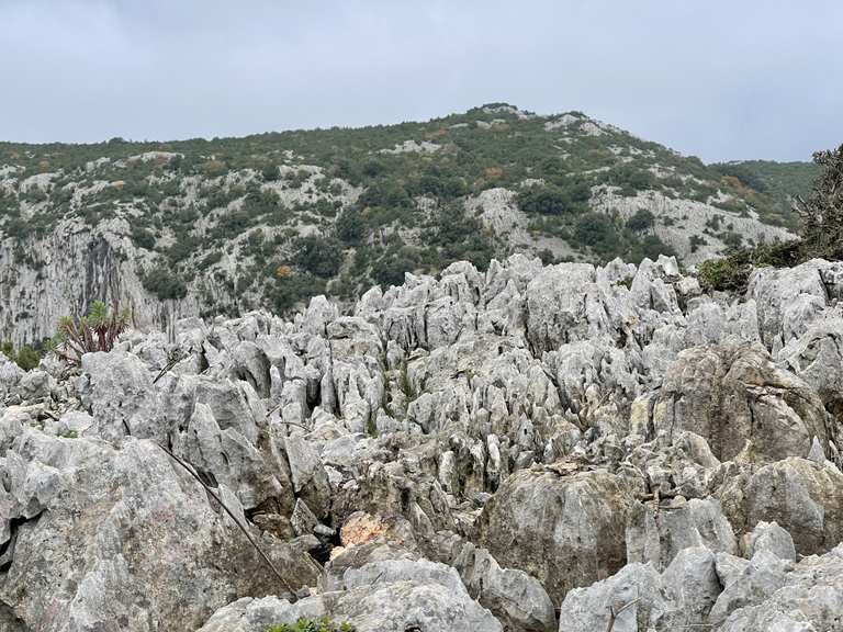 Cuile de us Piggius: Wanderungen und Rundwege | komoot