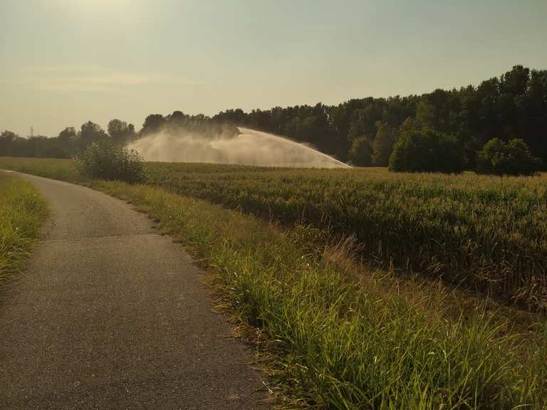 Ciclabile Marco Pantani : Radtouren und Radwege | komoot