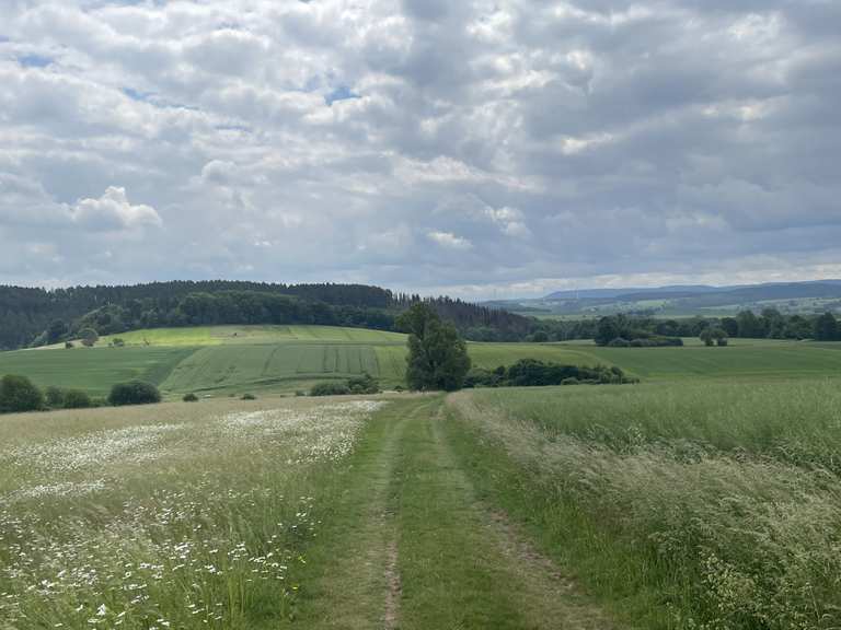 Papenberg bei Herzberg: Wanderungen und Rundwege | komoot