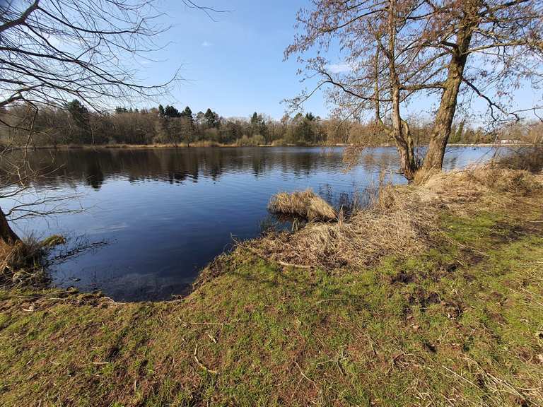 Sunder Seen mit Seerosen und kapitalen Karpfen : Radtouren und Radwege ...