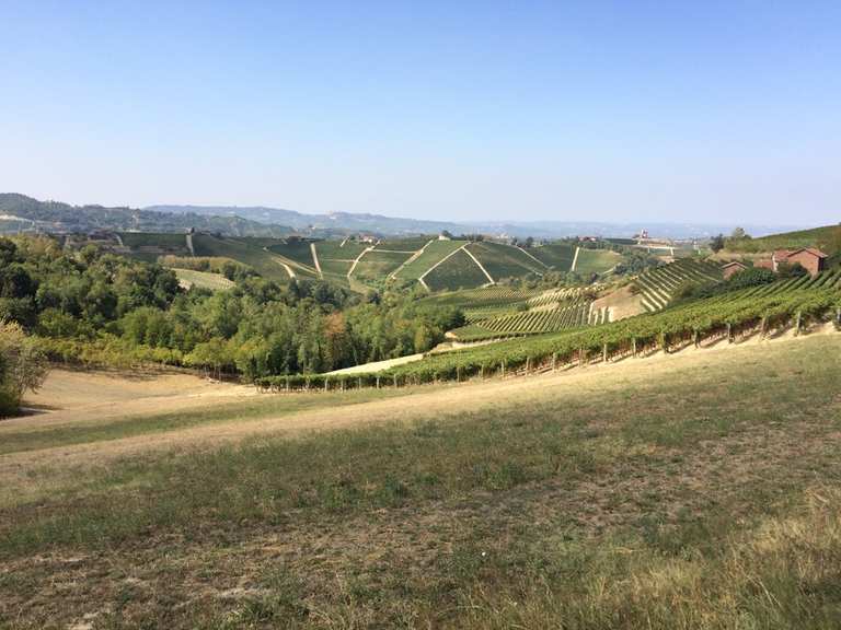 Big Bench Sinio Routes for Walking and Hiking | Komoot