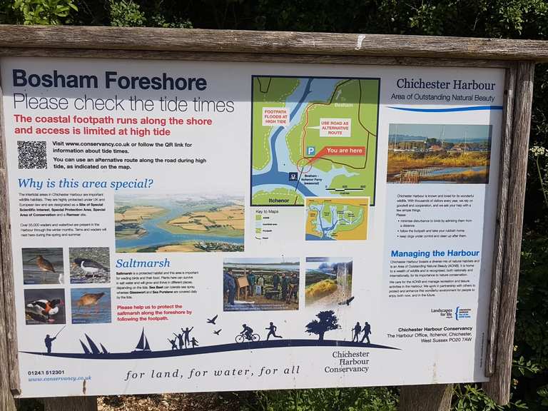 Ice cream stop! – Bosham Causeway loop from Bosham | hike | Komoot