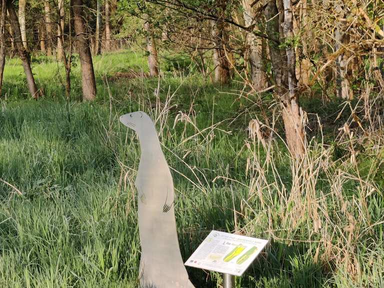 Otter Trail Station 5 – Barren Waterway – Hiking & Cycling Routes | Komoot