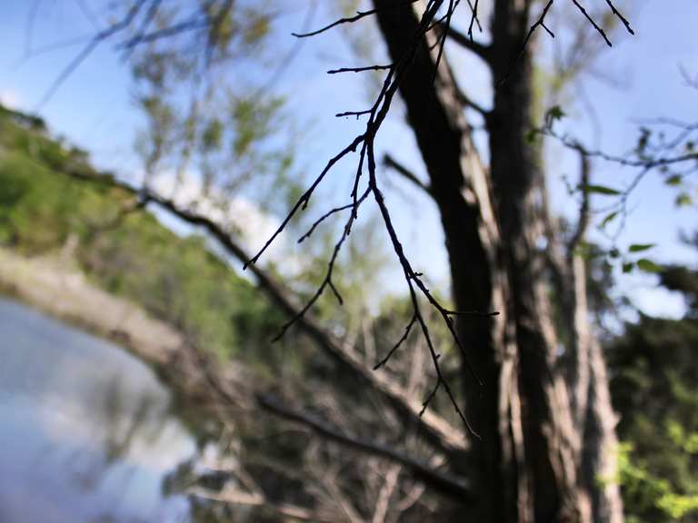 Dorba Trail loop — Cedar Hill State Park | Wanderung | Komoot