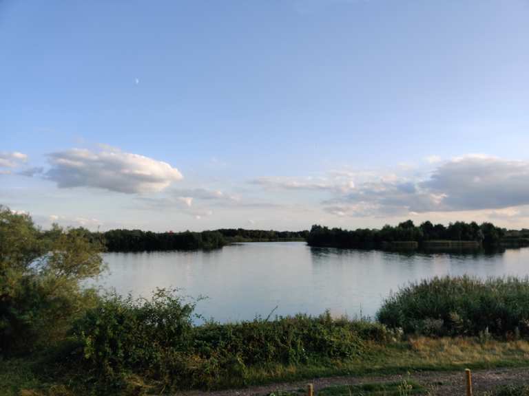 Fen Drayton Lakes Nature Reserve loop | hike | Komoot