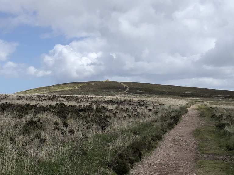 Selworthy, Horner Wood & Dunkery Beacon loop from Minehead — Exmoor ...