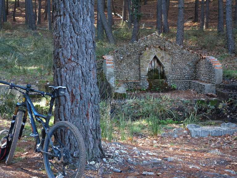 Bienservida e pico de la Sarga — circular pela serra de Alcaraz | percurso de Mountain Bike | komoot